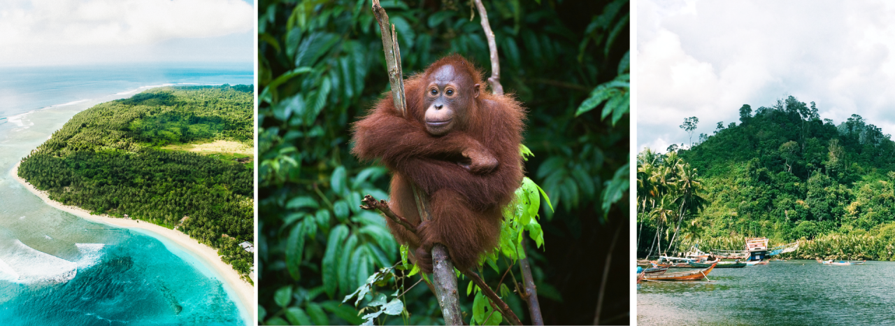 Top reasons to add Sumatra to your bucket list!